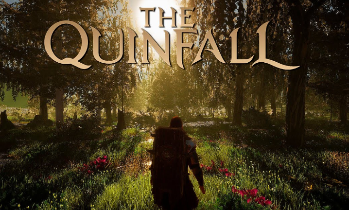The Quinfall Beginner Guide: Your Ultimate Starting Point