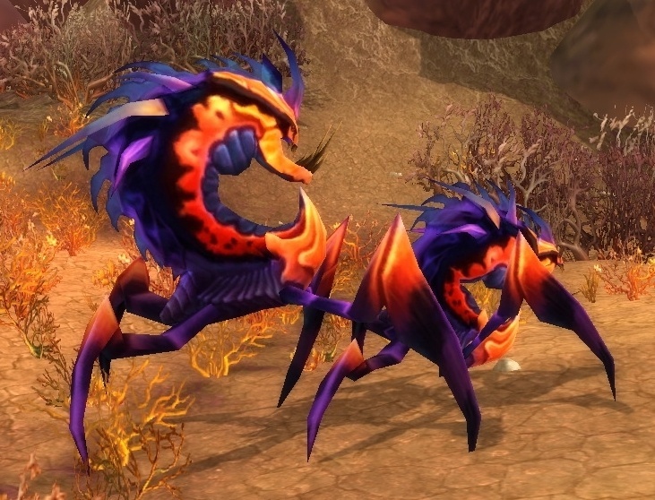 WoW TBC Hunter Leveling Guide