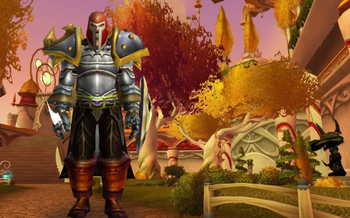 TBC Annviersary Protection Paladin Tanking Guide: Mastering Threat ...